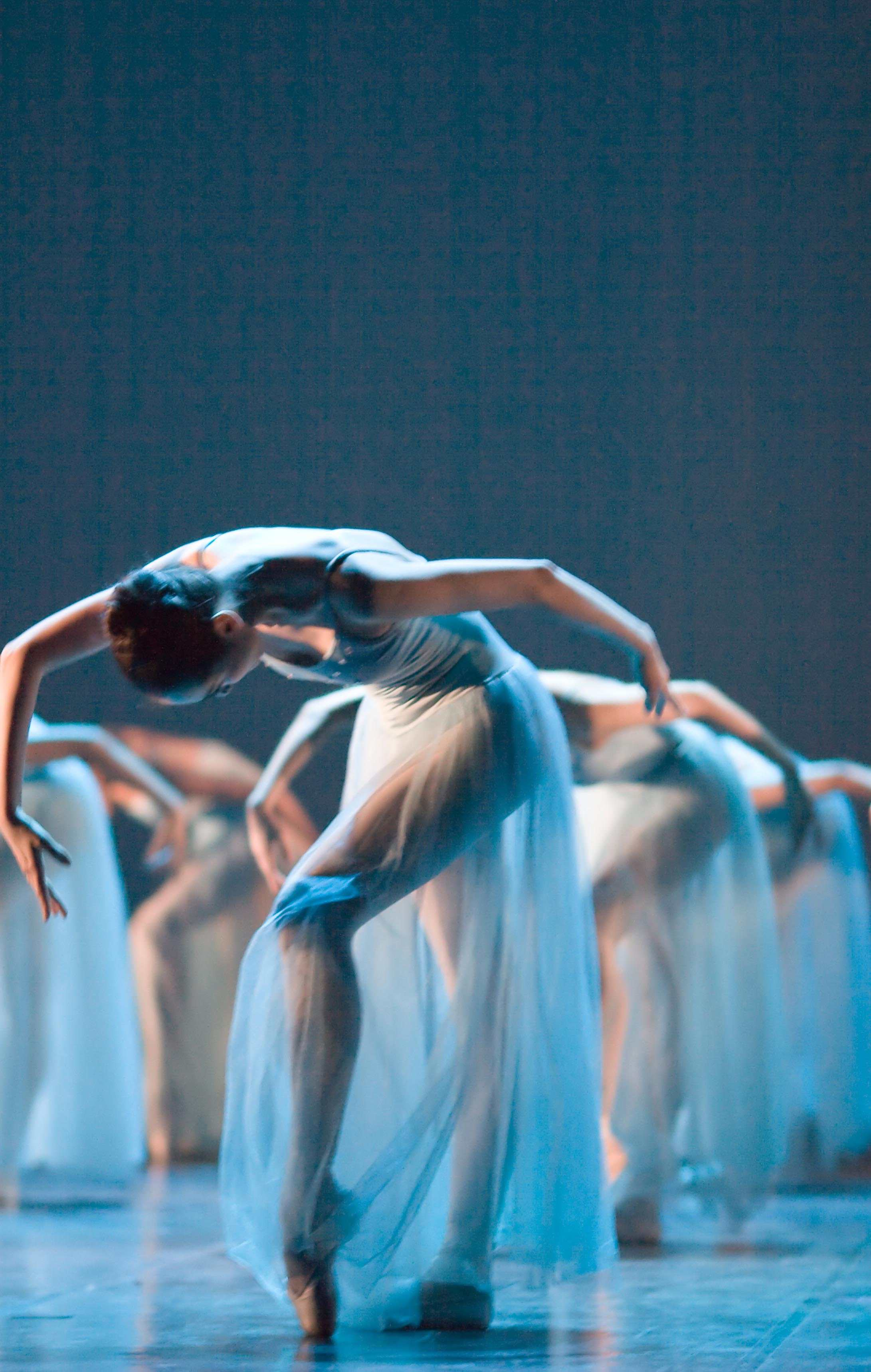 Choreographer Spotlight - BALLET FOREVER